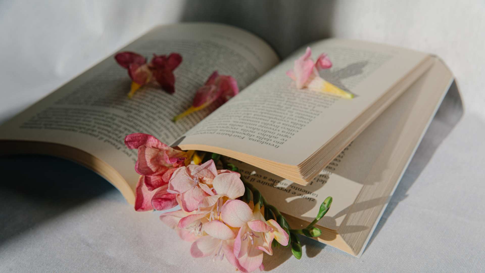 1000+ Unique Facebook Page Name Ideas List | 2024